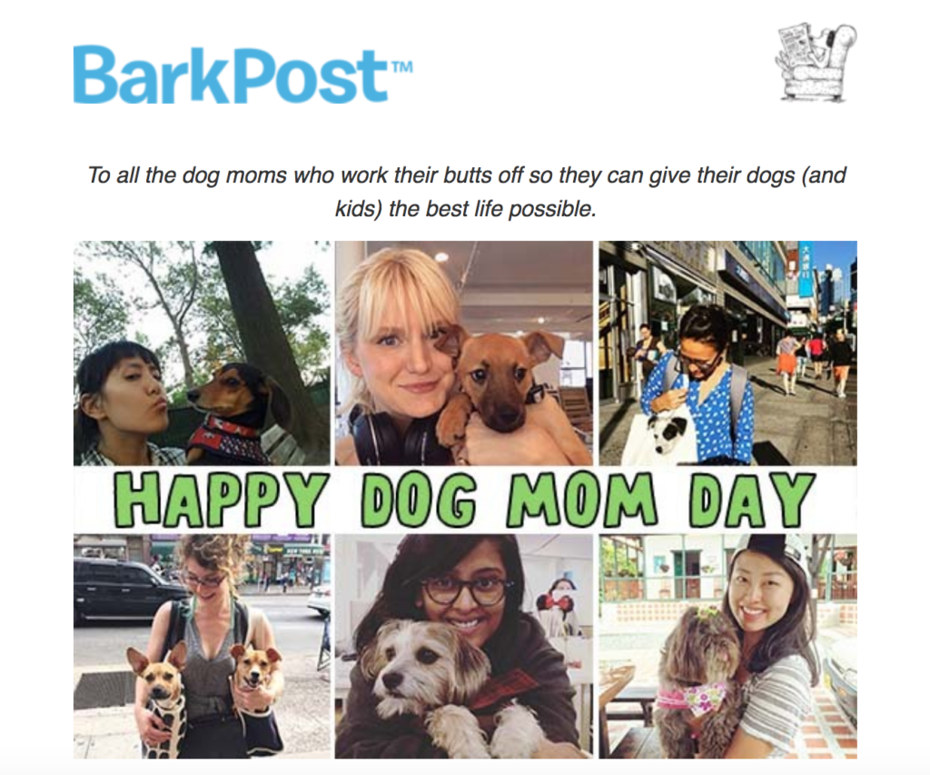 20+ Email Subject Lines for Mother's Day | Celebrate with Style