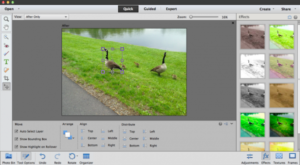 4 Picture-Perfect Photo Editing Tools | VR Blog