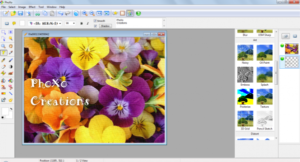 4 Picture-Perfect Photo Editing Tools | VR Blog