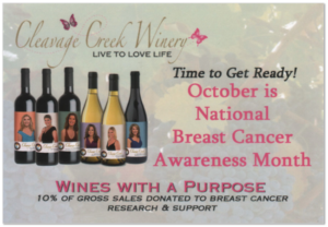 Great Example of How to Use Direct Mail Postcards - VR Marketing Blog